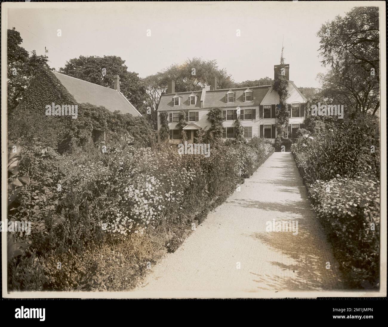 Adams Mansion, Quincy, Mass. , Mansions, Historic buildings, Shrubs ...