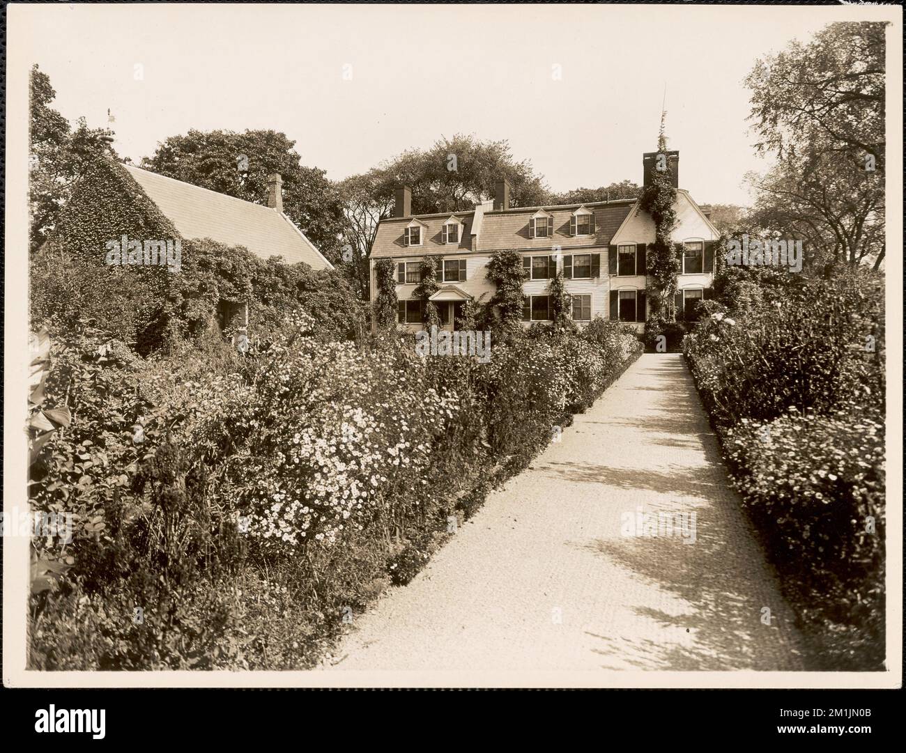 Adams Mansion, Quincy, Mass. , Mansions, Historic buildings, Shrubs ...