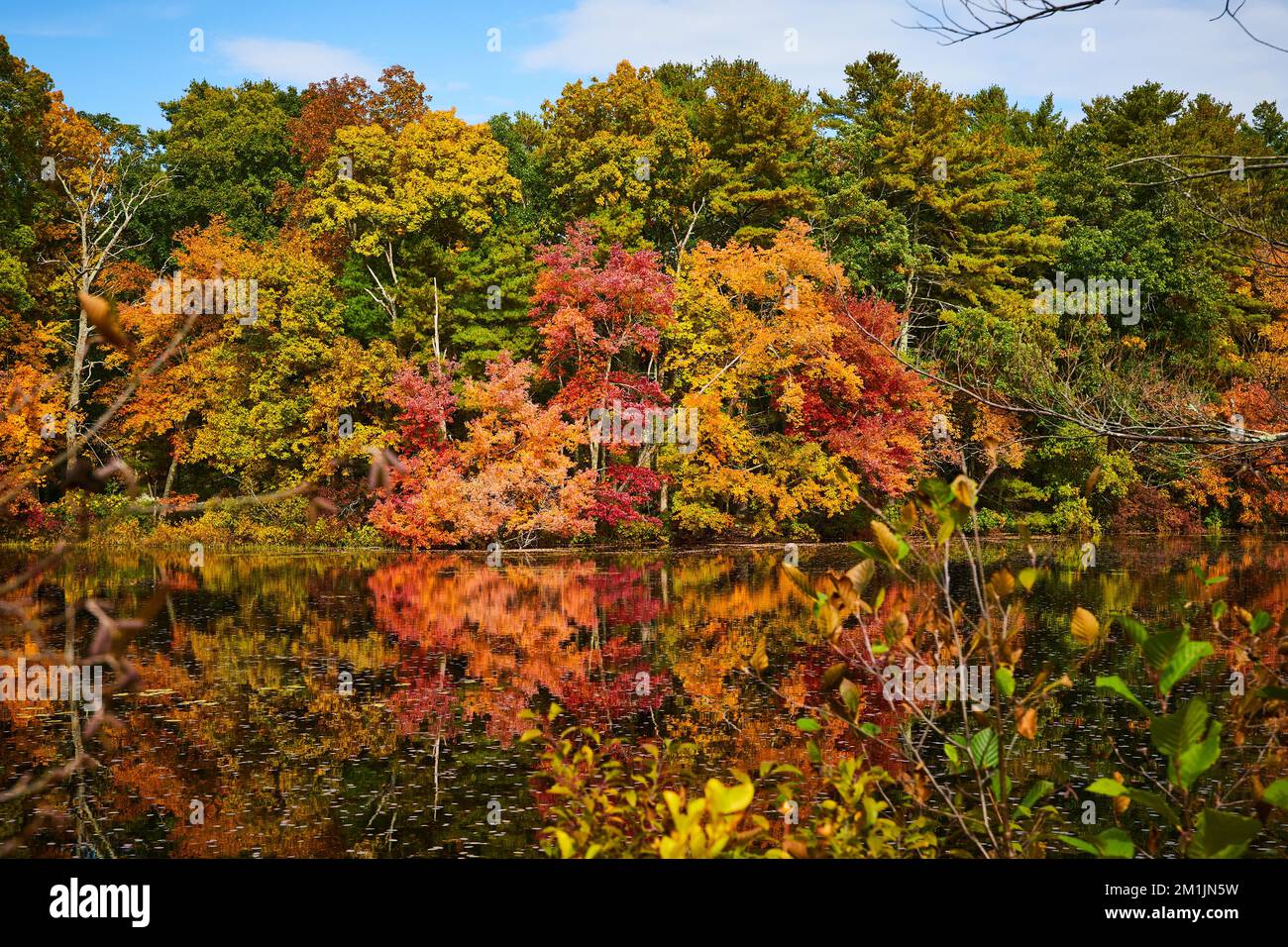Lake surface reflecting fall forest foliage Stock Photo - Alamy