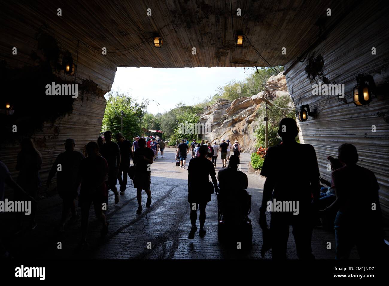 Dec 11, 2022. Orlando, FL, USA. Disney's Hollywood Studios walk in ...