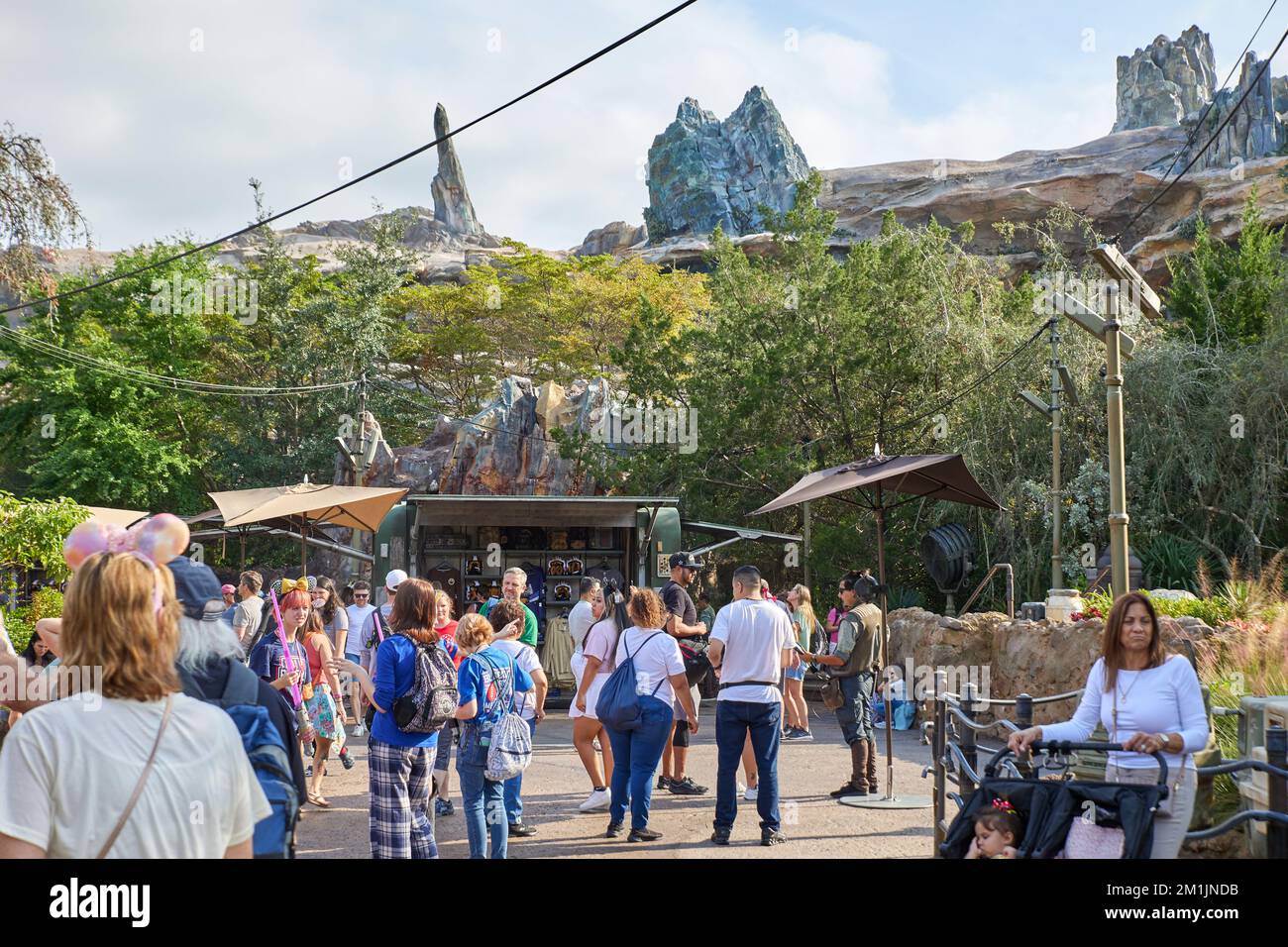 Dec 11, 2022. Orlando, FL, USA. Disney's Hollywood Studios walk in ...