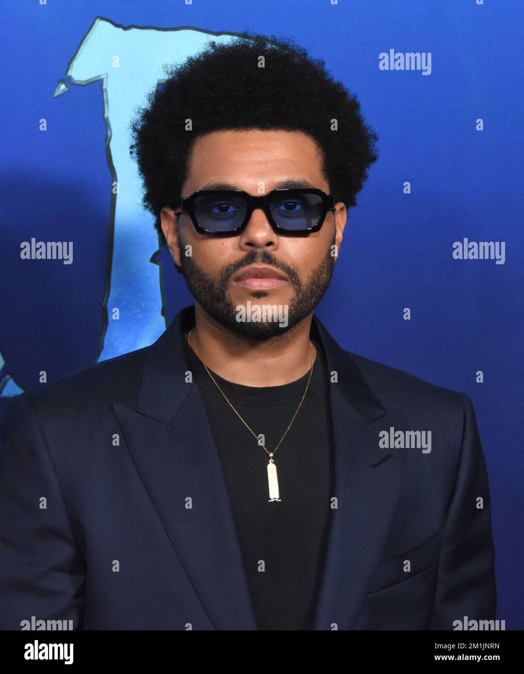 Hollywood, California, USA 12th December 2022 Singer/musician The ...