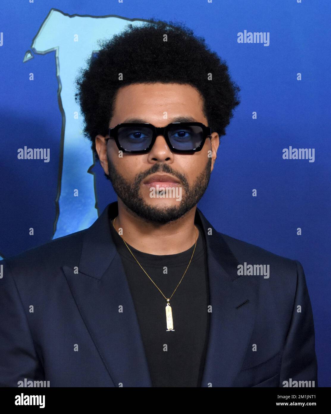 Hollywood, California, USA 12th December 2022 Singer/musician The ...