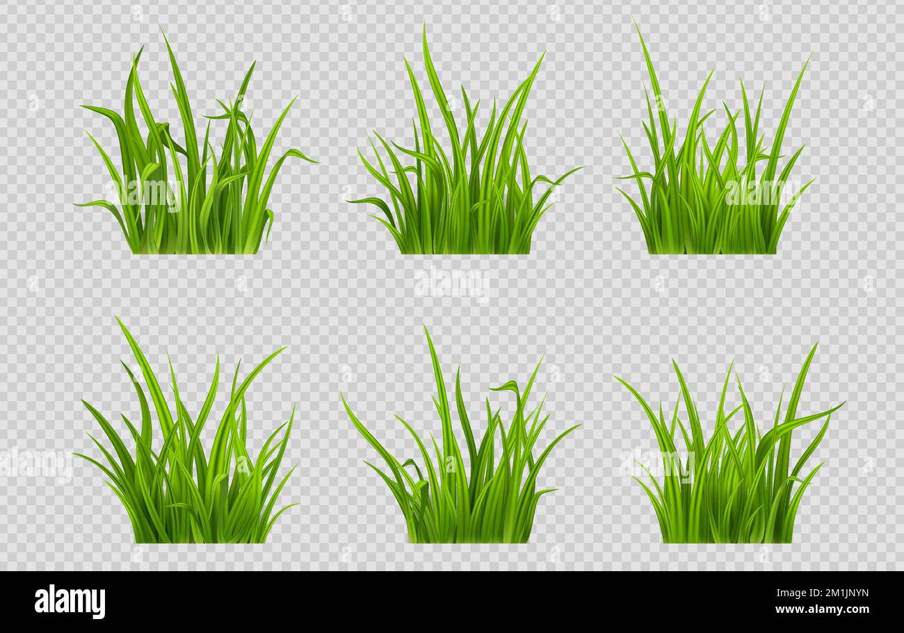 Green grass patch Stock Vector Images - Alamy