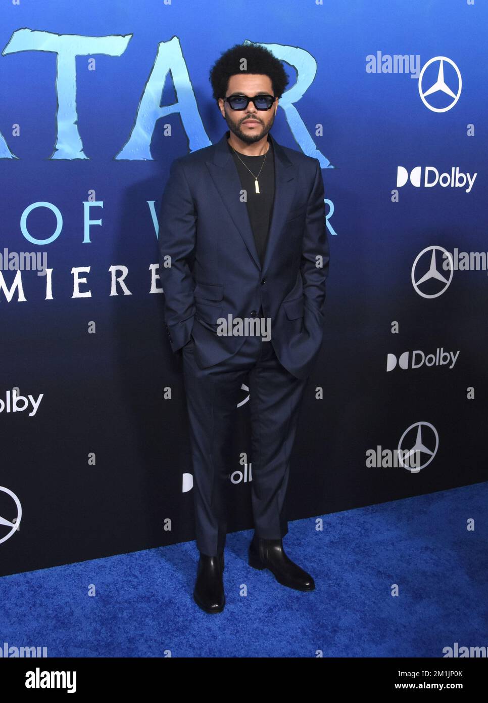 Hollywood, California, USA 12th December 2022 Singer/musician The ...