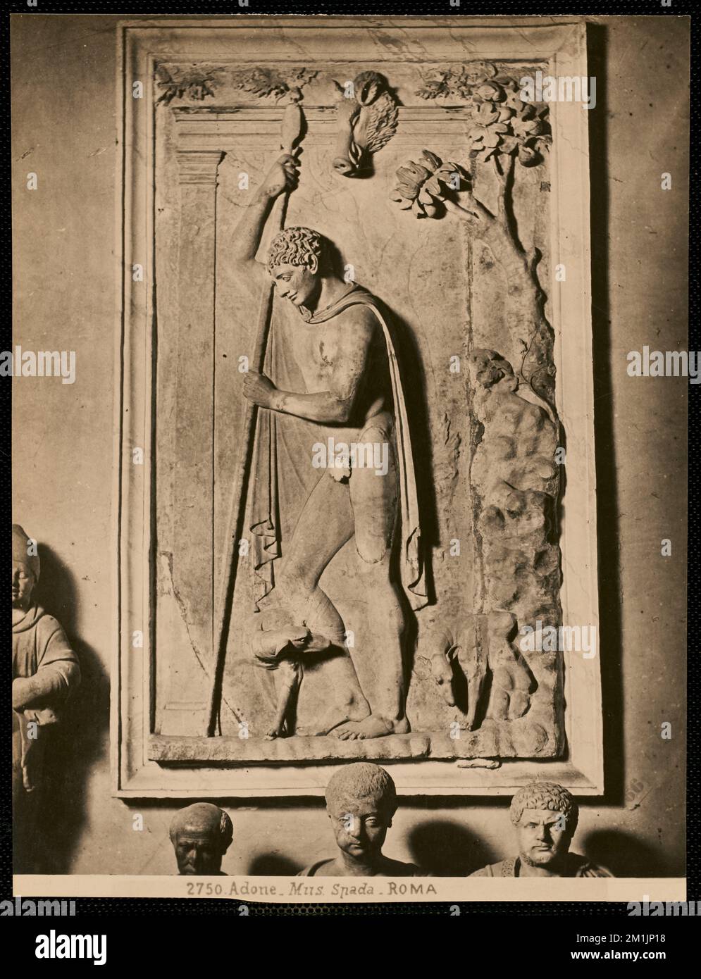 Adonis greek deity hi-res stock photography and images - Alamy