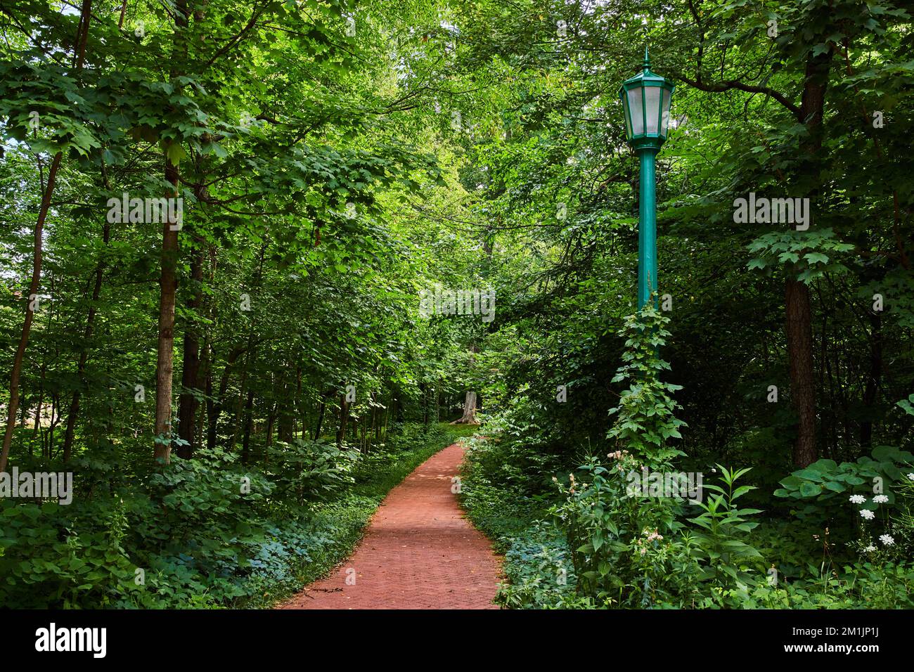 Lush summer forest with brick path and green lamp post Stock Photo - Alamy