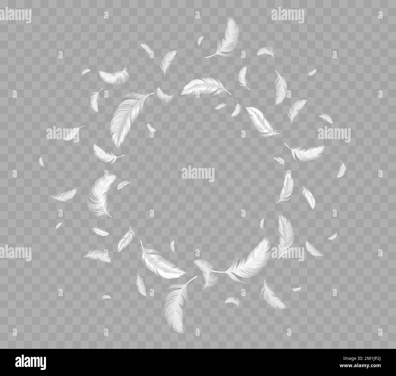 Circle frame of flying white soft bird feathers. Banner or poster ...
