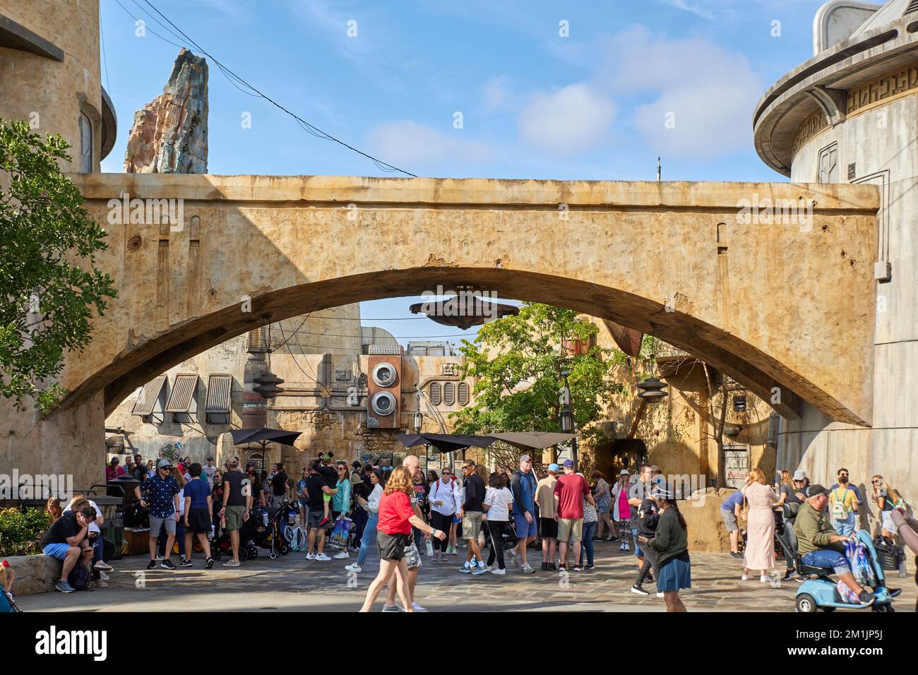 Dec 11, 2022. Orlando, FL, USA. Disney's Hollywood Studios walk in ...