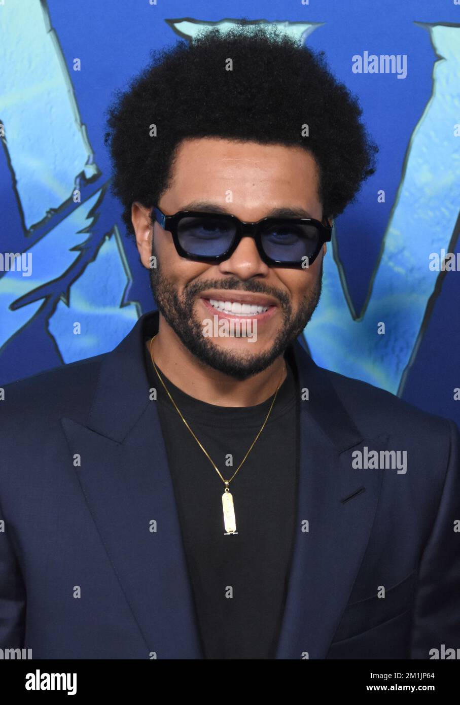 Hollywood, California, USA 12th December 2022 Singer/musician The ...