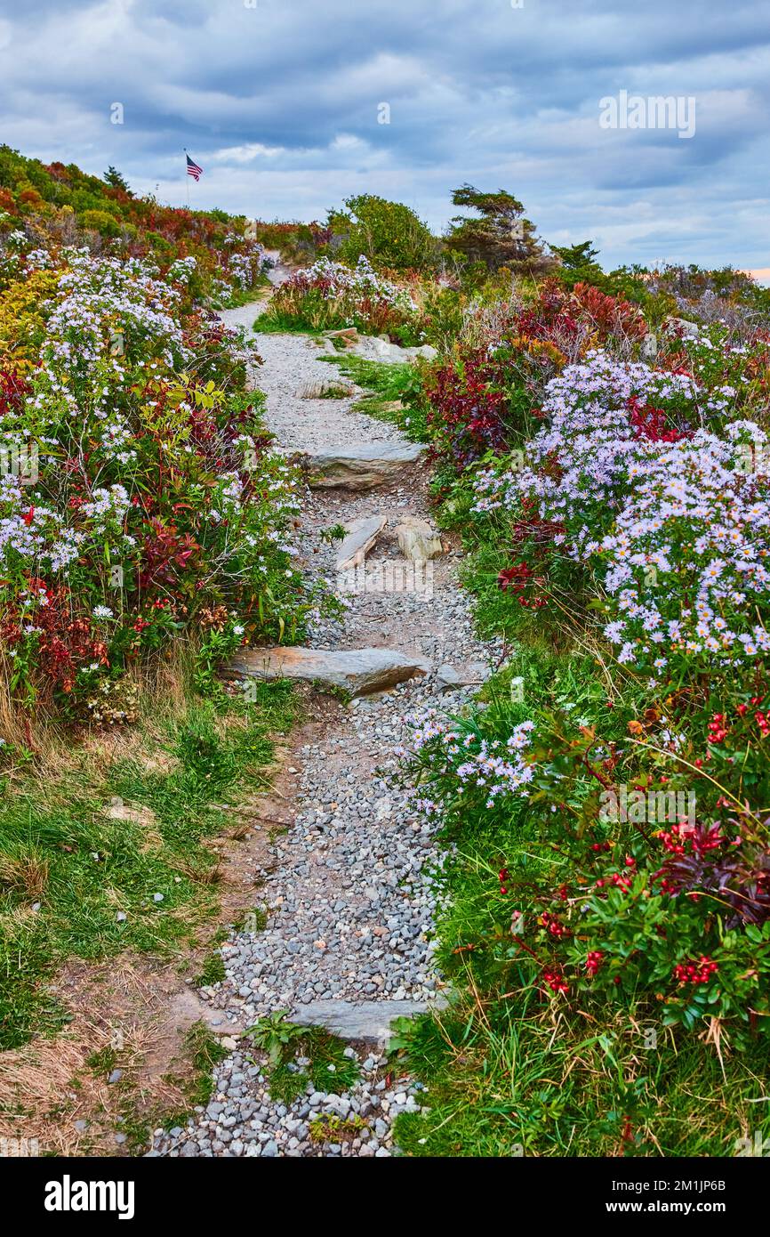 Hiking trail narrow through Maine hills with flowers around and ...