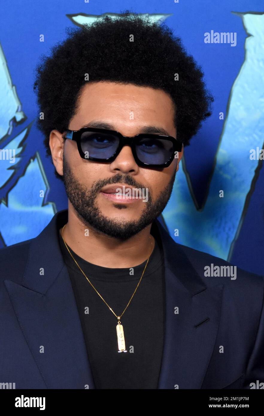 Hollywood, California, USA 12th December 2022 Singer/musician The ...