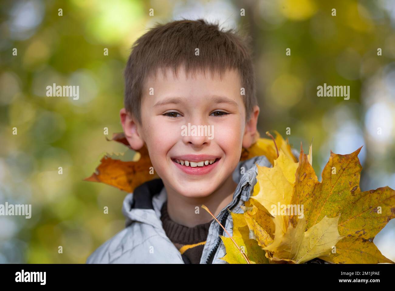 Autumn portrait of a child in autumn yellow leaves.Beautiful child in ...
