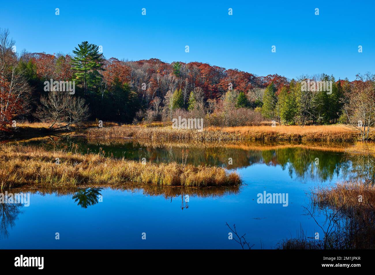 Winding Michigan river in late fall surrounded by foliage and with blue ...