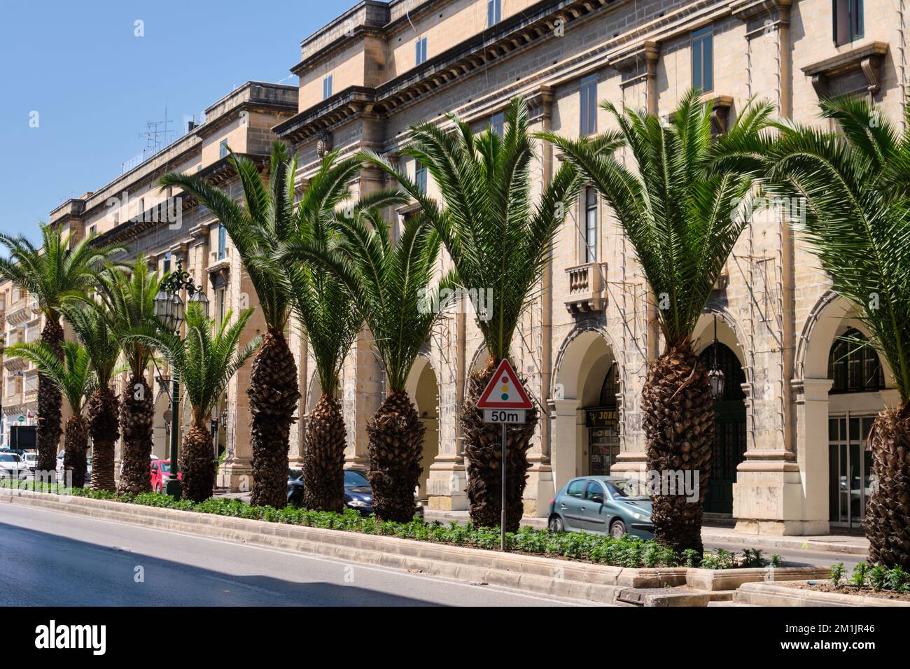 Lush green palm trees and scenic edifices on St Anne Street - Floriana, Malta Stock Photo - Alamy