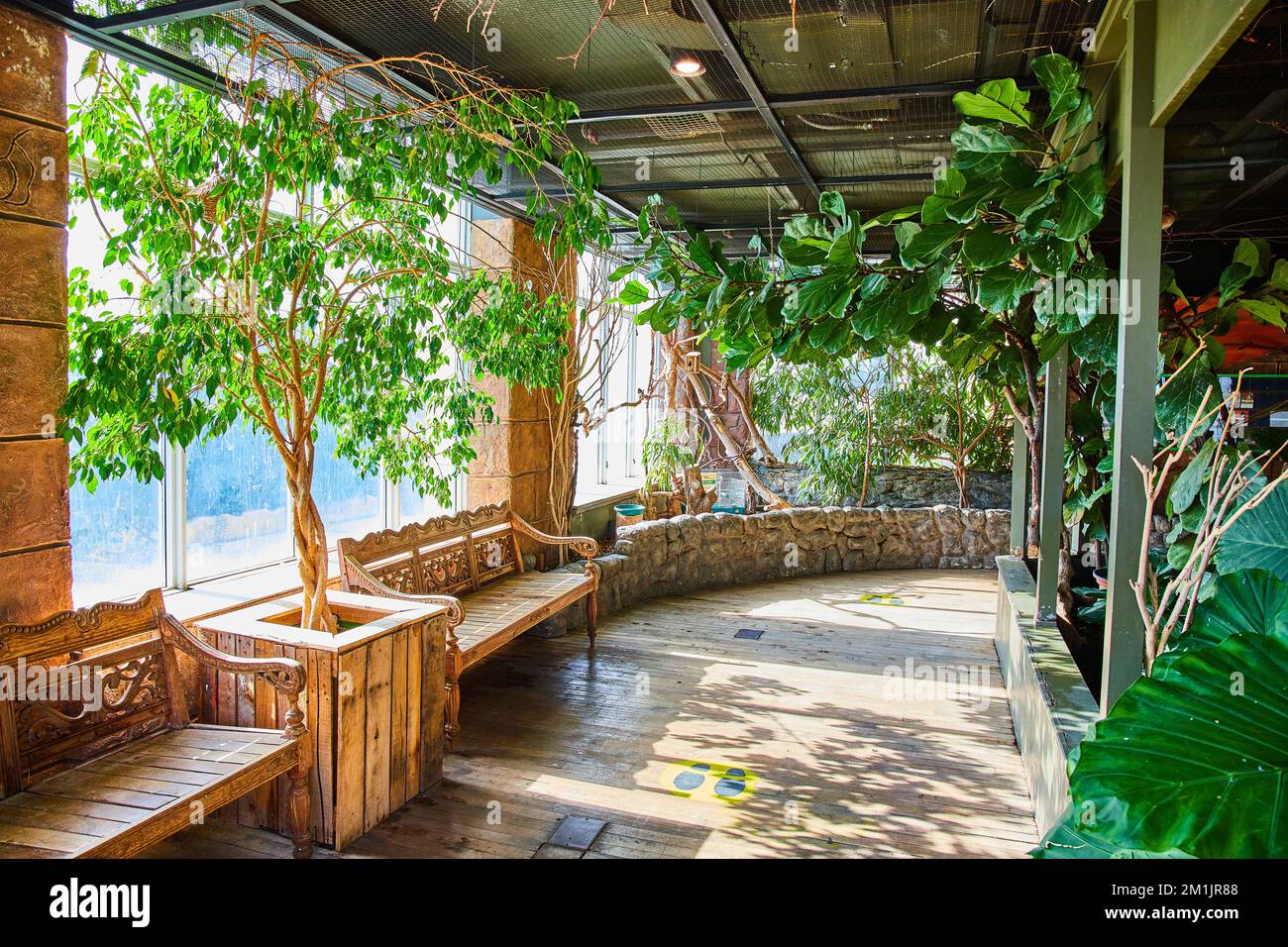Bird through greenery hi-res stock photography and images - Alamy