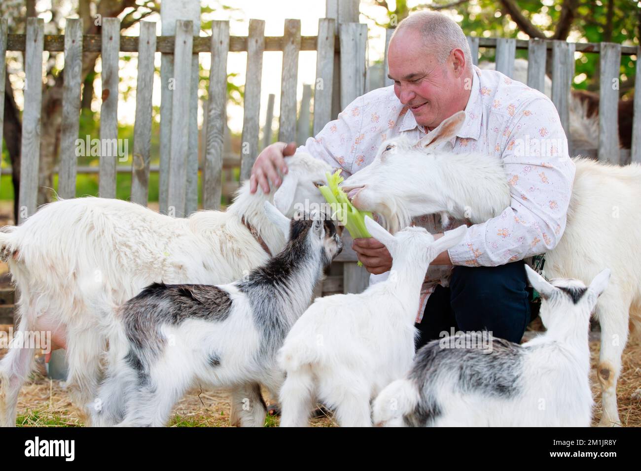 David Duchovny Goat Man