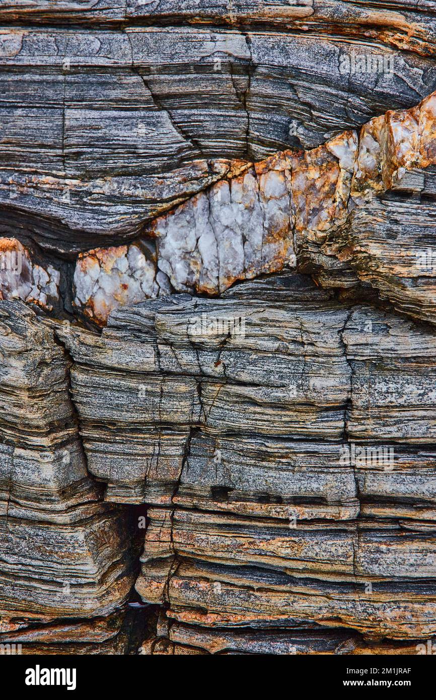 Maine coast rock like petrified wood with Quartz vein minerals going ...