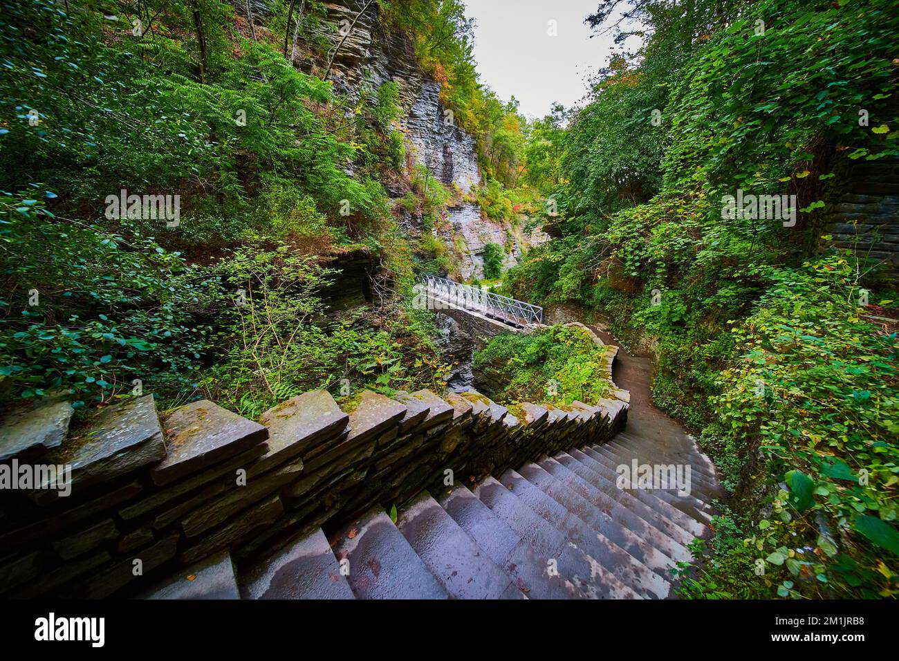 View looking down stone step trail in woods leading to bridge in New ...