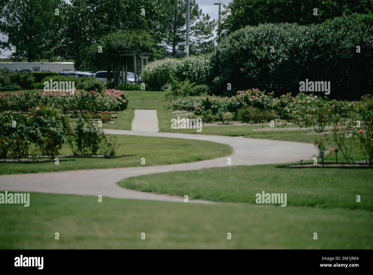 A botanical garden surrounded by dense trees Stock Photo - Alamy