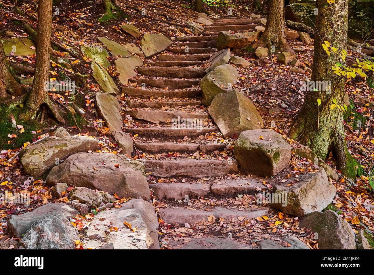 Hiking trail stone staircase line with boulders winds through fall ...