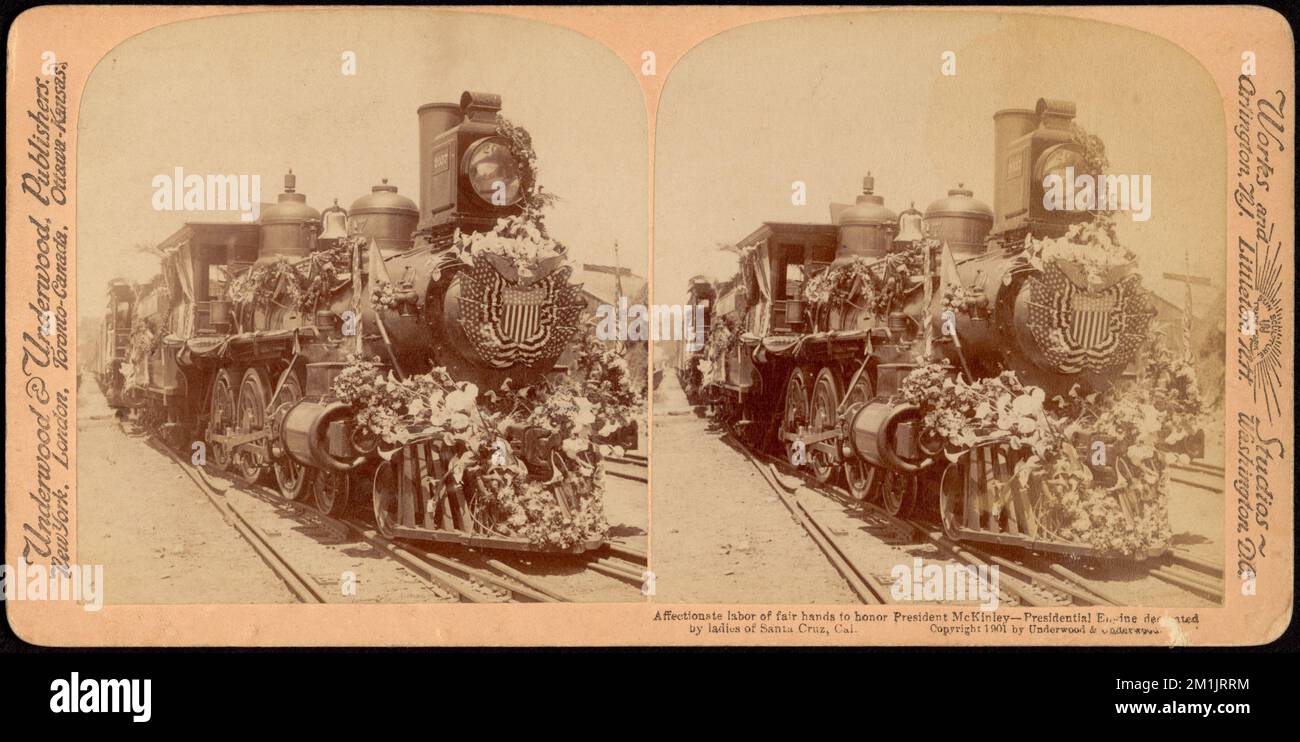 Affectionate labor of fair hands to honor President McKinley ...