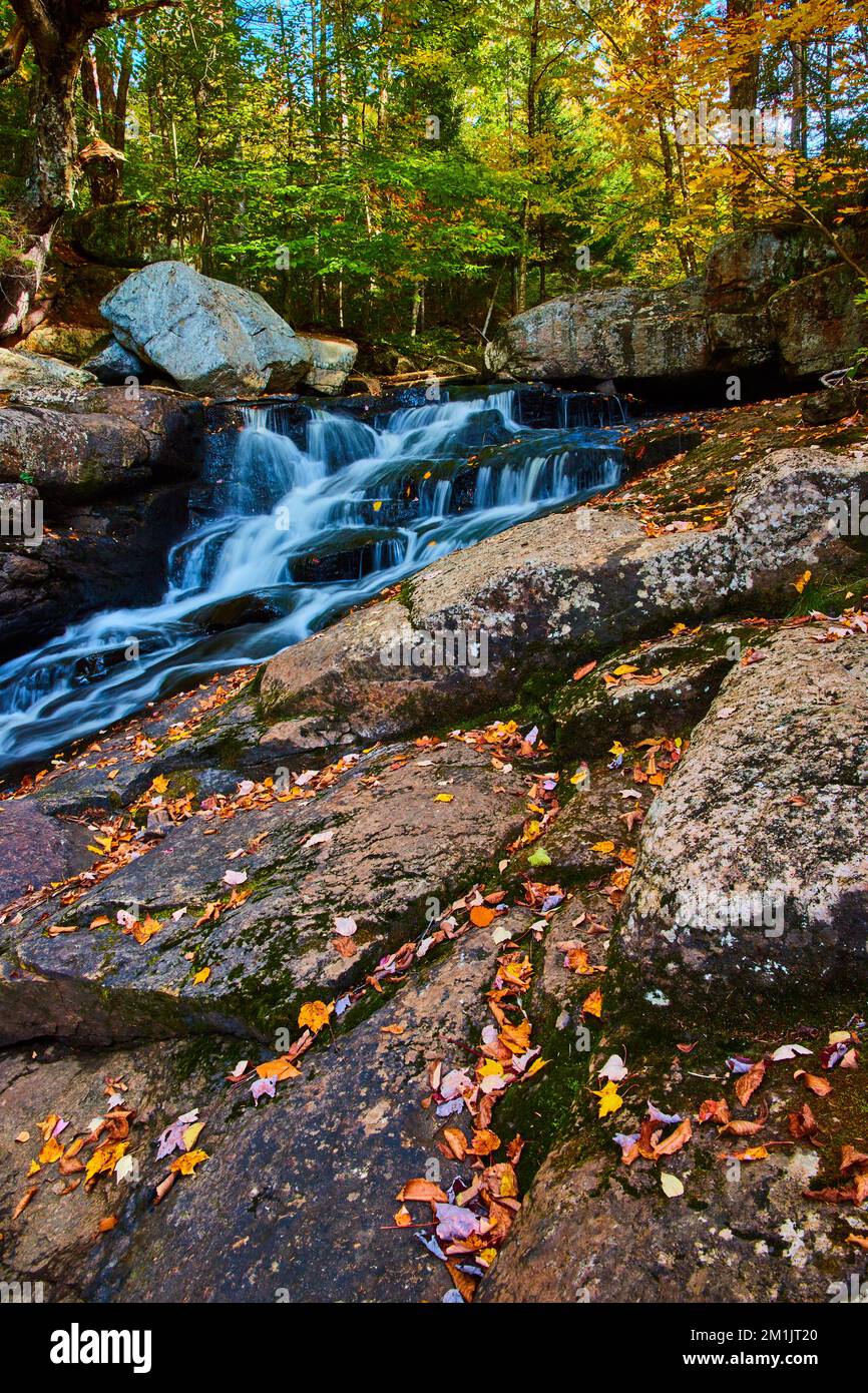 Forest with cascading river waterfalls small along rocky edge covered in fall leaves Stock Photo ...