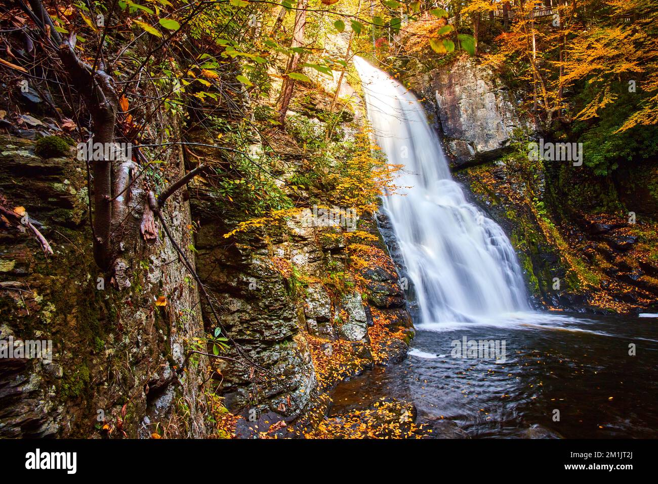 Beautiful cliffs with golden leaves surround large waterfall in forest ...