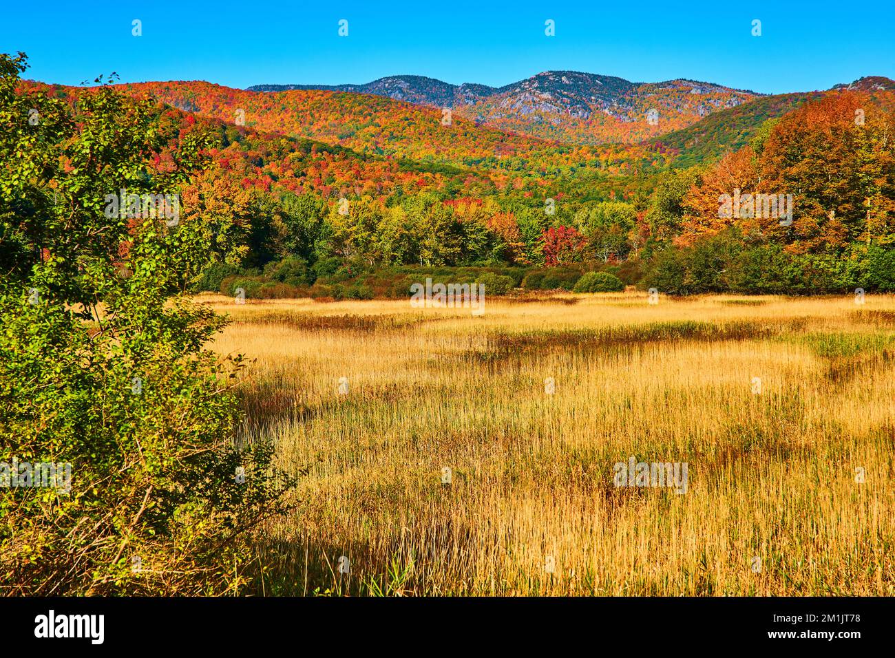 Beautiful fall fields by large colorful fall mountains of New York ...
