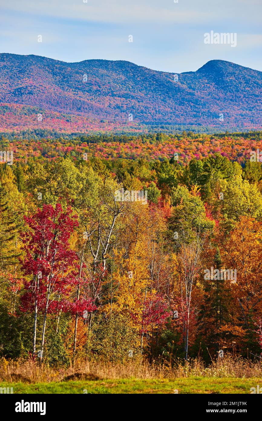 Right in front of row of fall foliage with huge mountains in peak fall ...