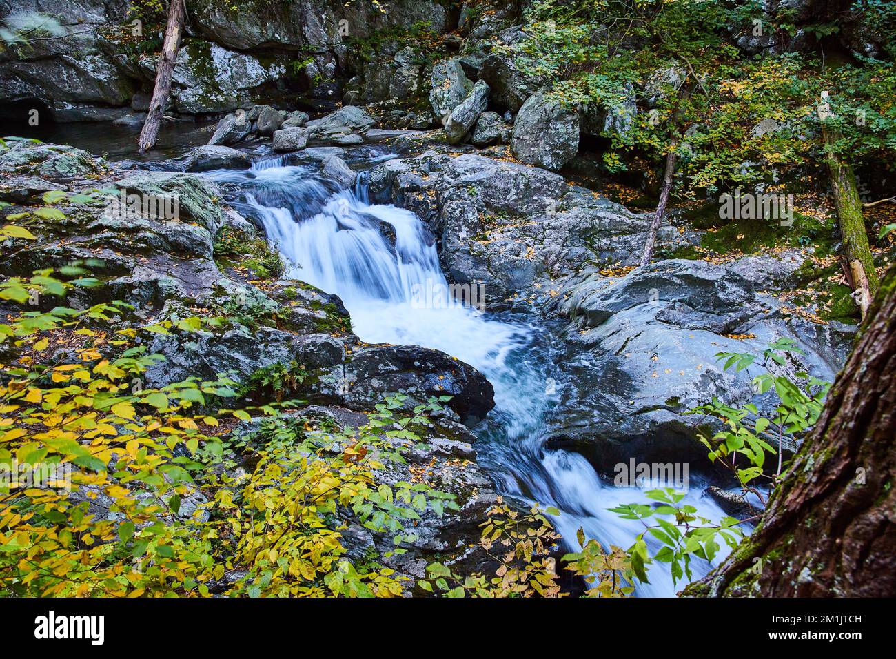 Yellow foliage and rocks surround river with cascading waterfalls in ...