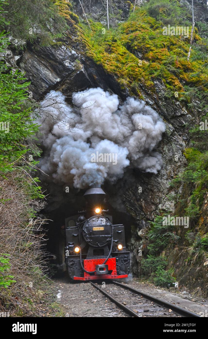 Tunnel steam narrow gauge hi-res stock photography and images - Alamy