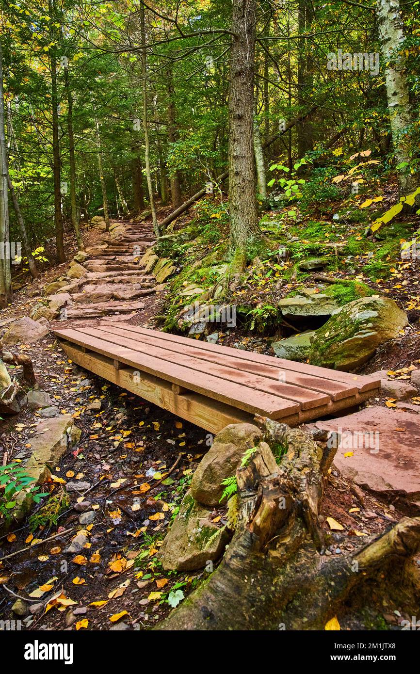 Side view of hiking trail in fall forest with focus on wood plank ...