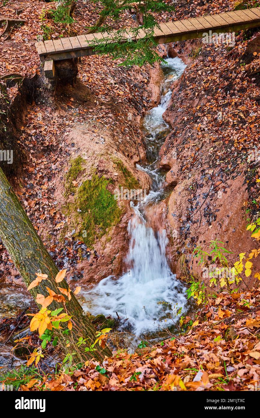 Manistee river trail hi-res stock photography and images - Alamy