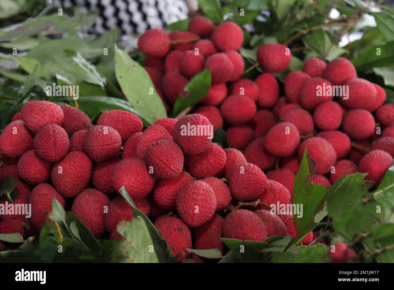 Tasty litchi hi-res stock photography and images - Alamy