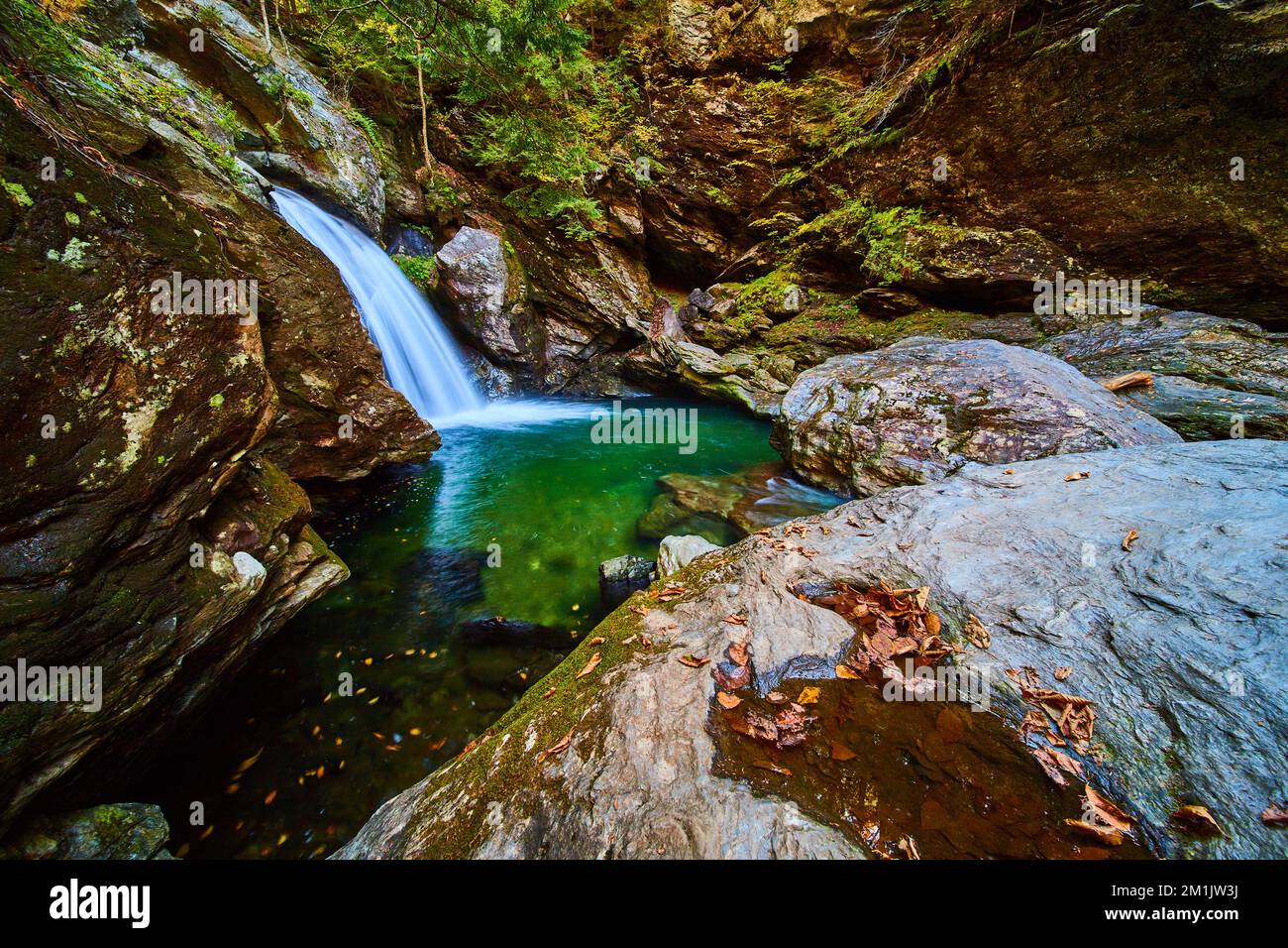 Puddle and leaves fill boulder by blue river with raging falls over ...