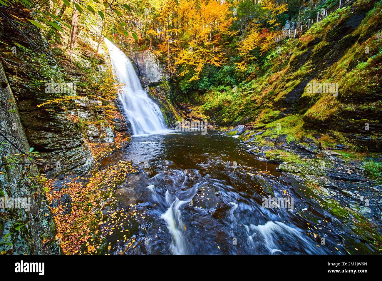 Cascade of golden leaves hi-res stock photography and images - Alamy
