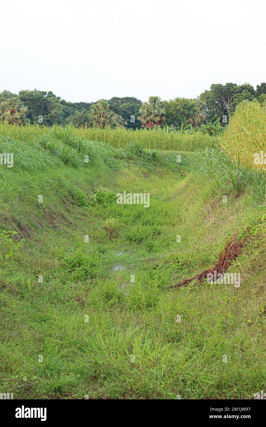 waterway channels earth canal view on field for water passing Stock ...