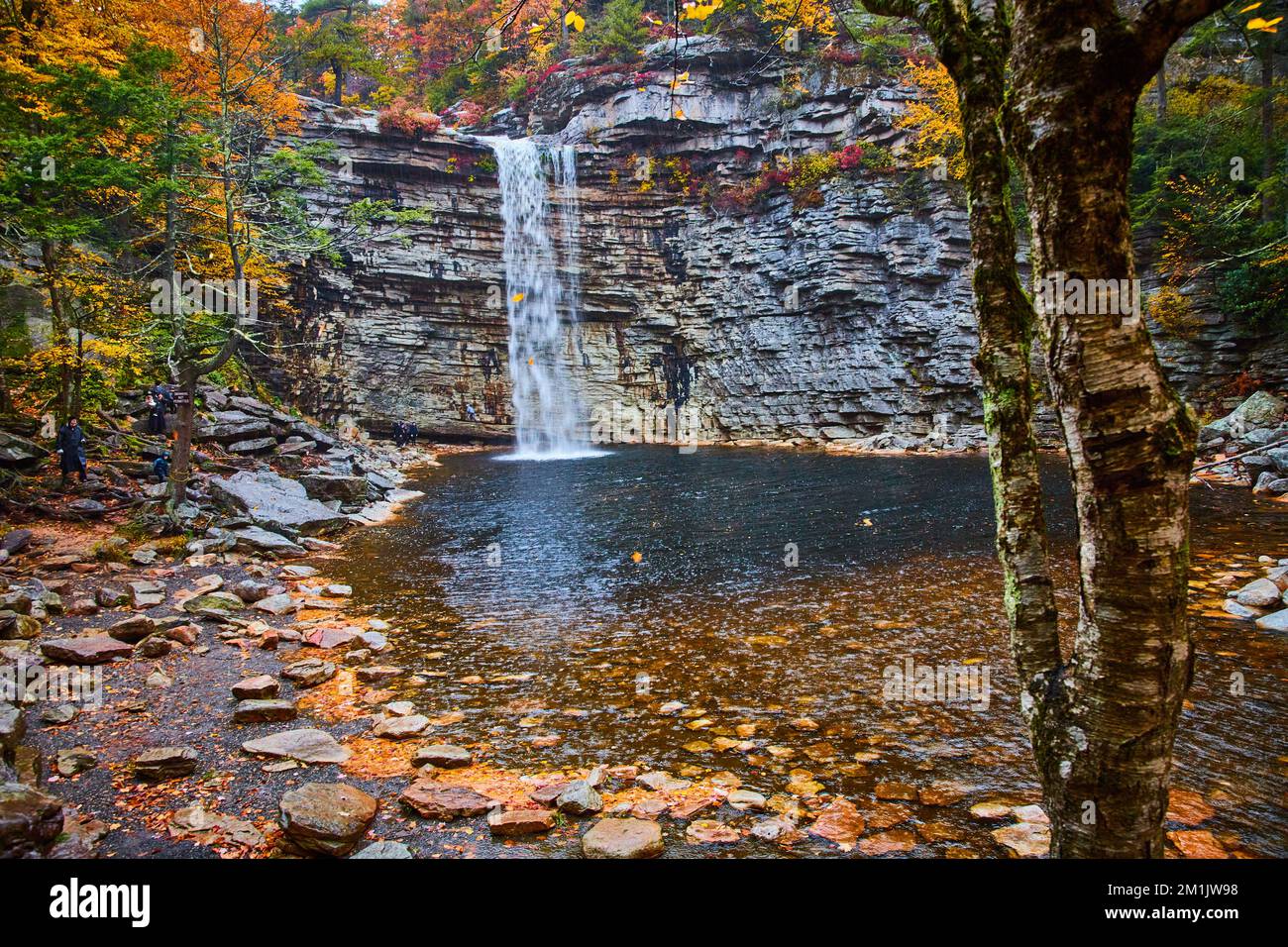 Peaceful waterfall over cliffs into pool of water during light rain ...