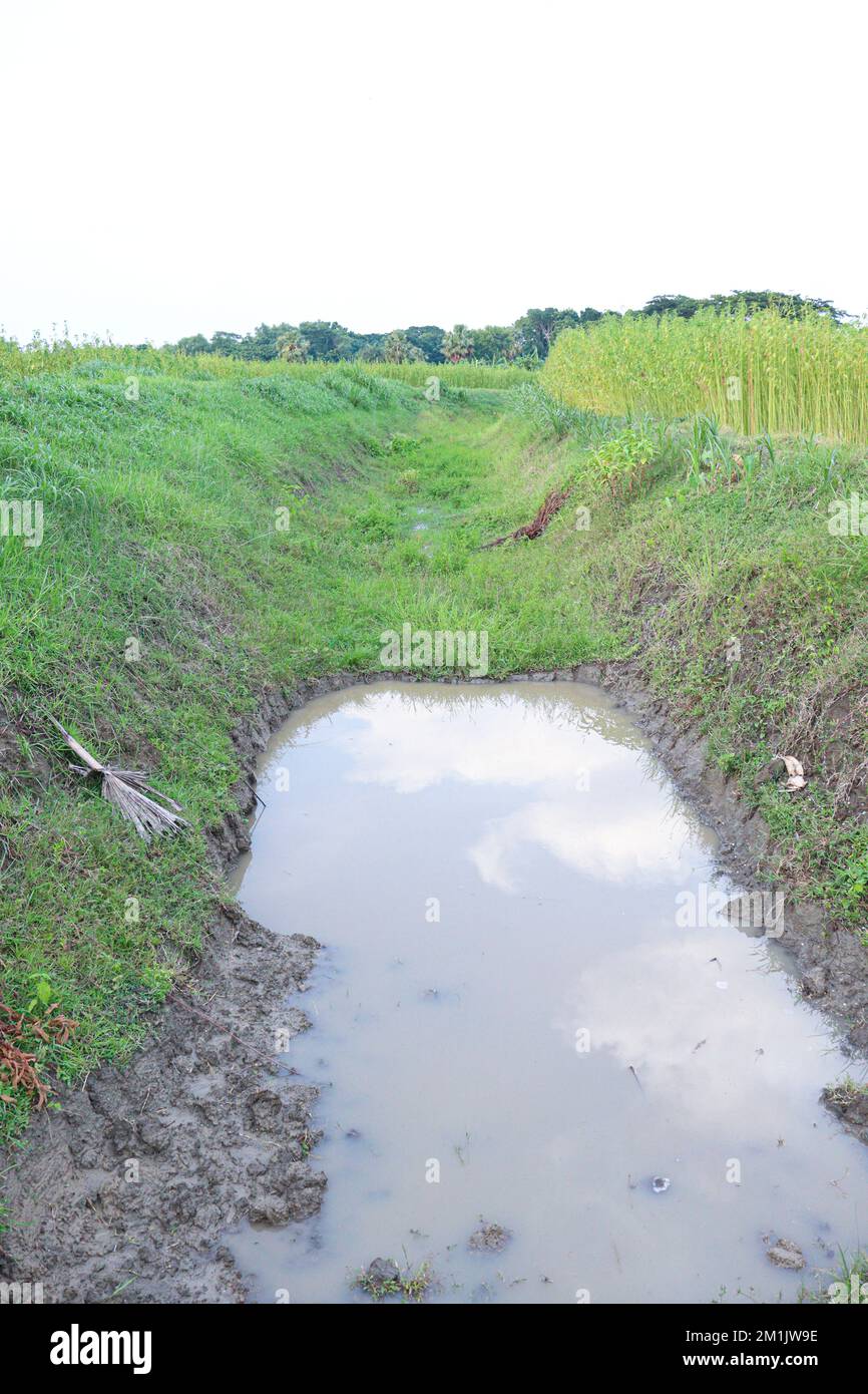 waterway channels earth canal view on field for water passing Stock ...