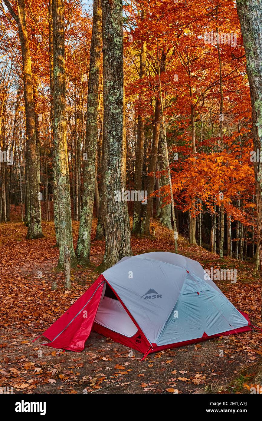 MSR red and white camping tent set up in forest in late fall with ...