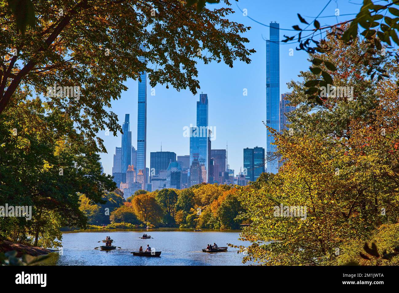 City surround forest trees hi-res stock photography and images - Alamy