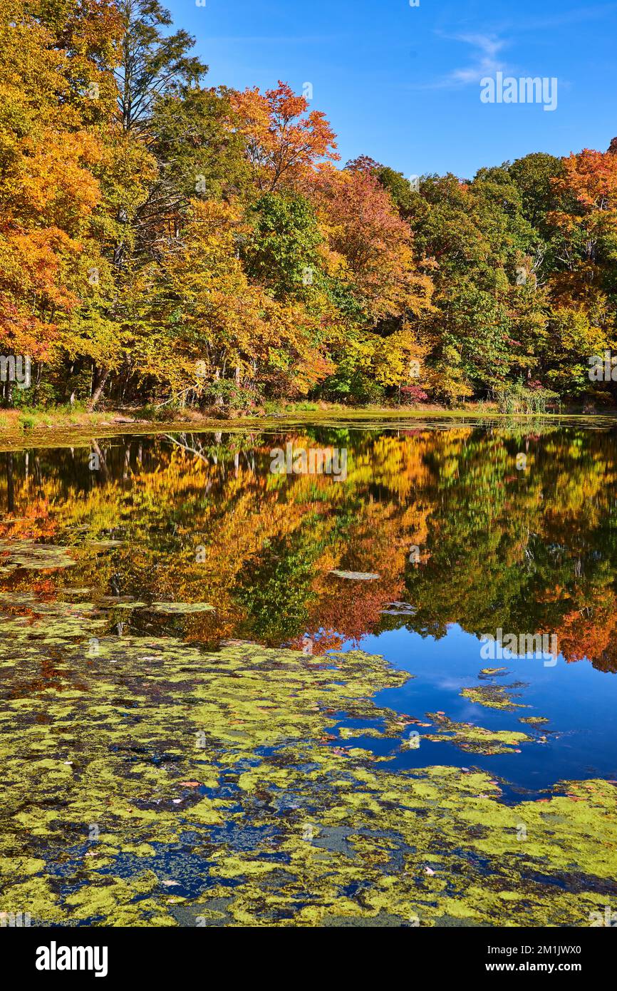 Woody pond falls hi-res stock photography and images - Alamy