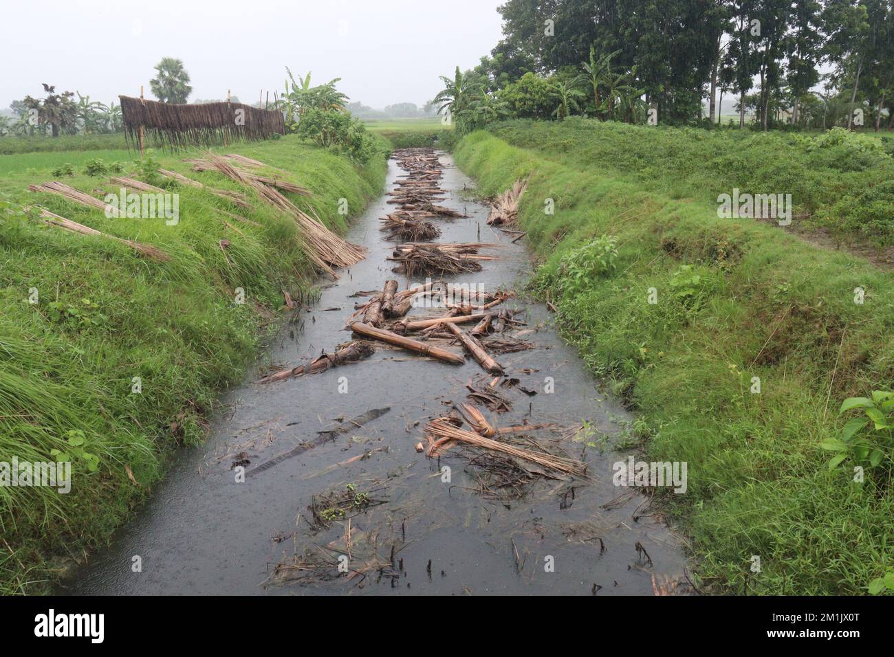 waterway channels earth canal view on field for water passing Stock ...