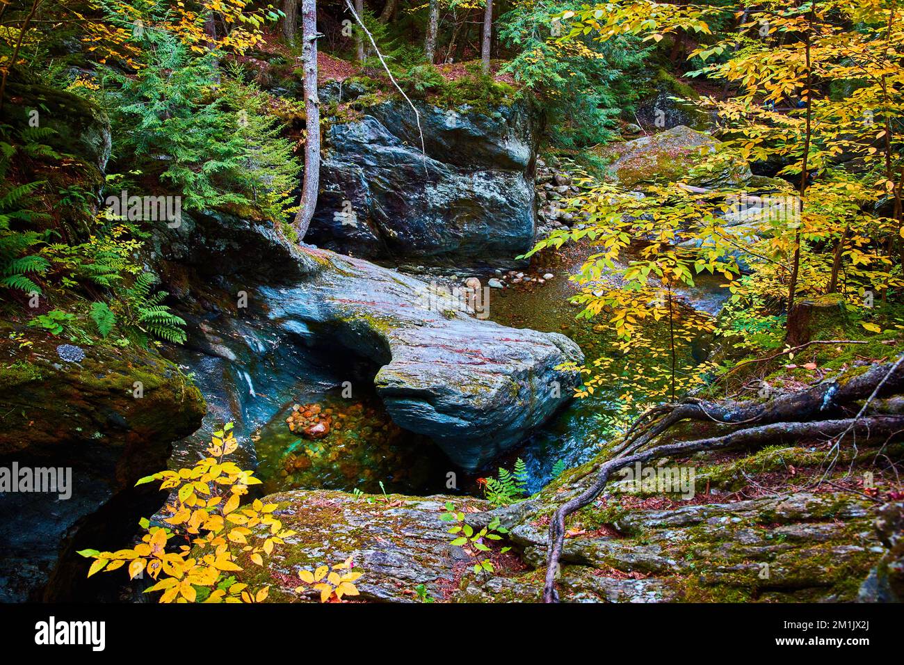 Stunning fall gorge river with rocks carved by waters Stock Photo - Alamy