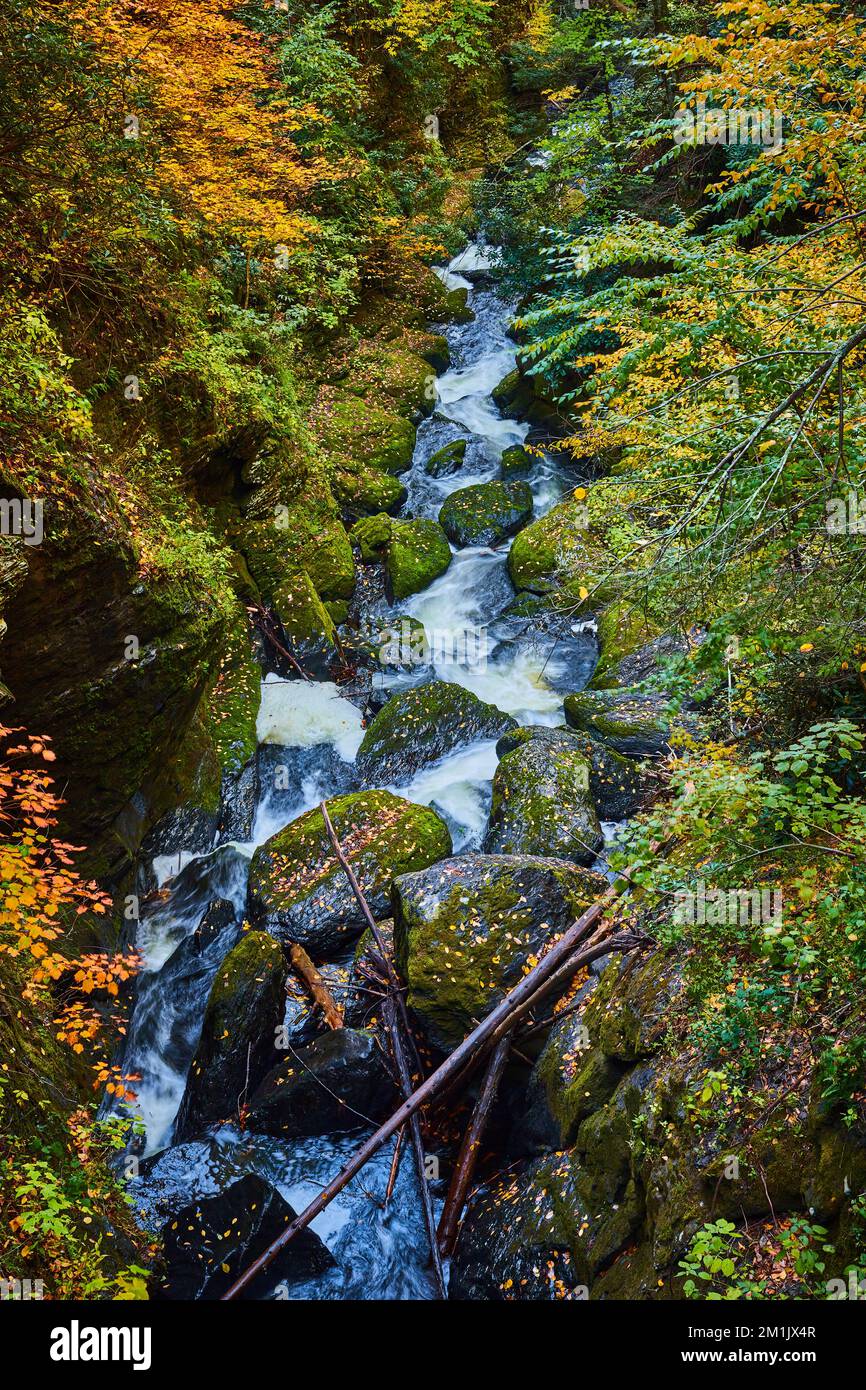 River rages through narrow gorge of mossy boulders and fall leaves on ...