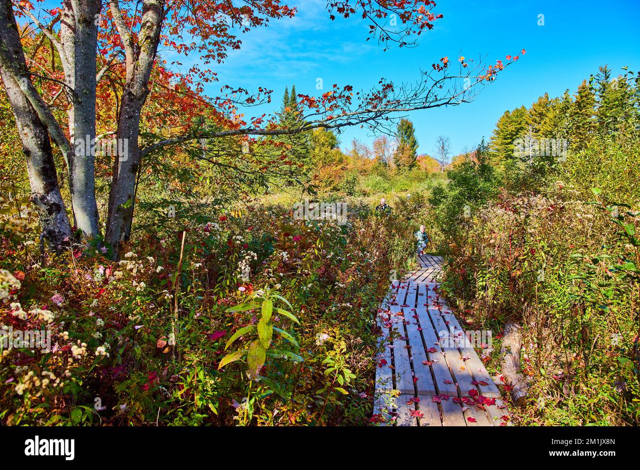 Falls trail boardwalk hi-res stock photography and images - Alamy