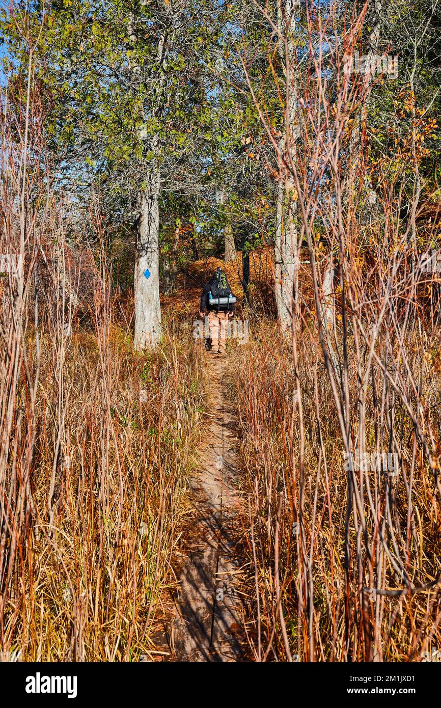 Small hiking trail through tall grasses with hiking backpacker walking ...