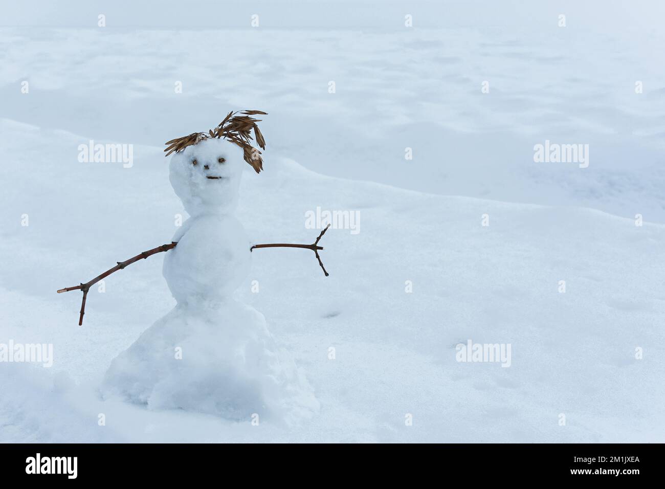Arm white frost hi-res stock photography and images - Alamy