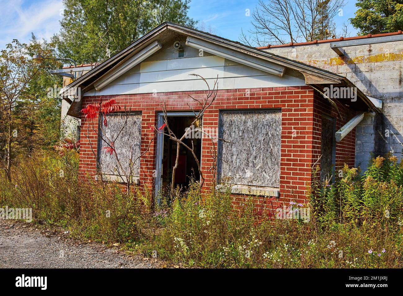 Driveway abandoned house hi-res stock photography and images - Alamy